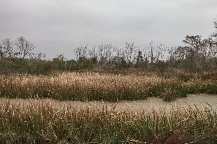 Huston House: Step Inside This Abandoned Home On Butler Island, Georgia